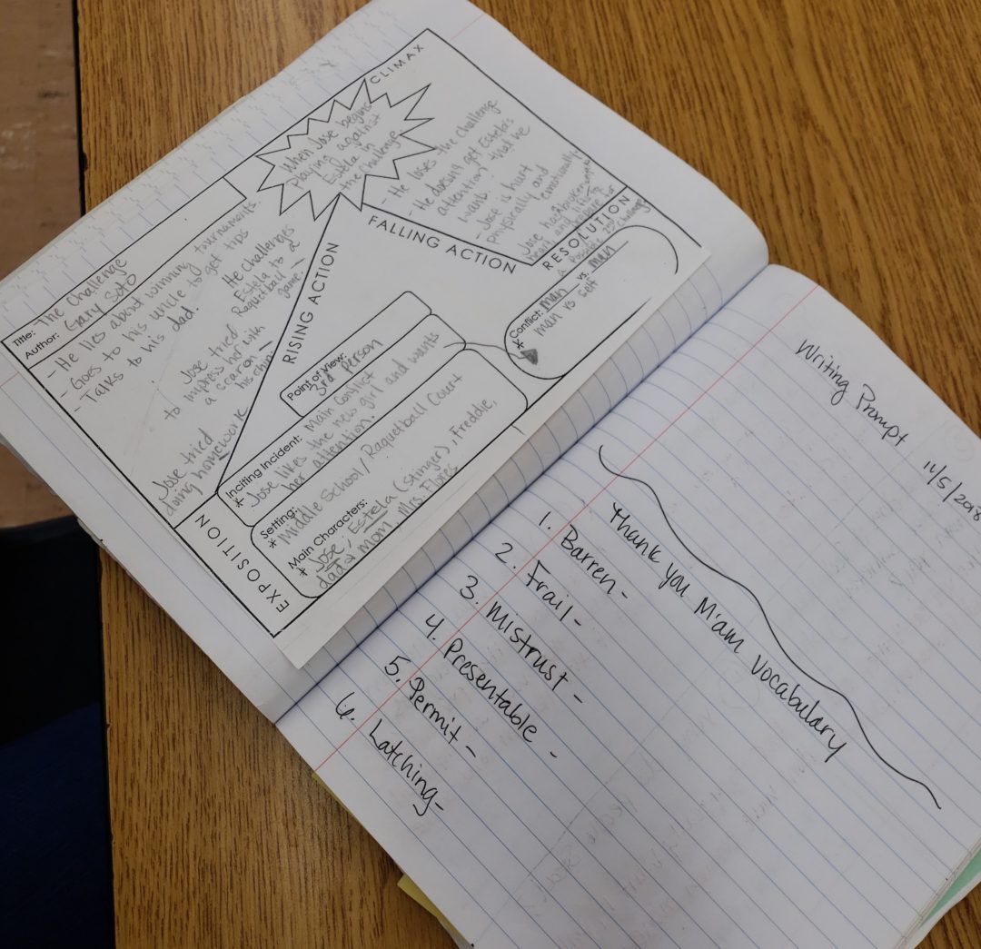 Should You Use Interactive Notebooks? - B like Bianca